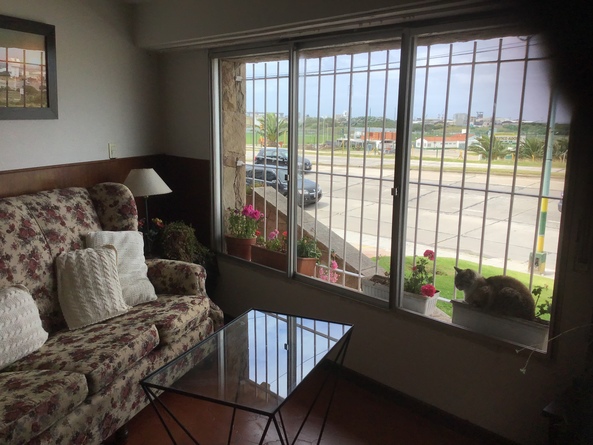 Departamento Frente al mar, Punta Mogotes, Mar del plata | Alquileres ...